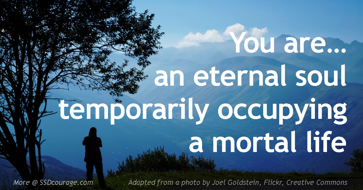 You are an eternal soul temporarily occupying a mortal life – Spiritual ...